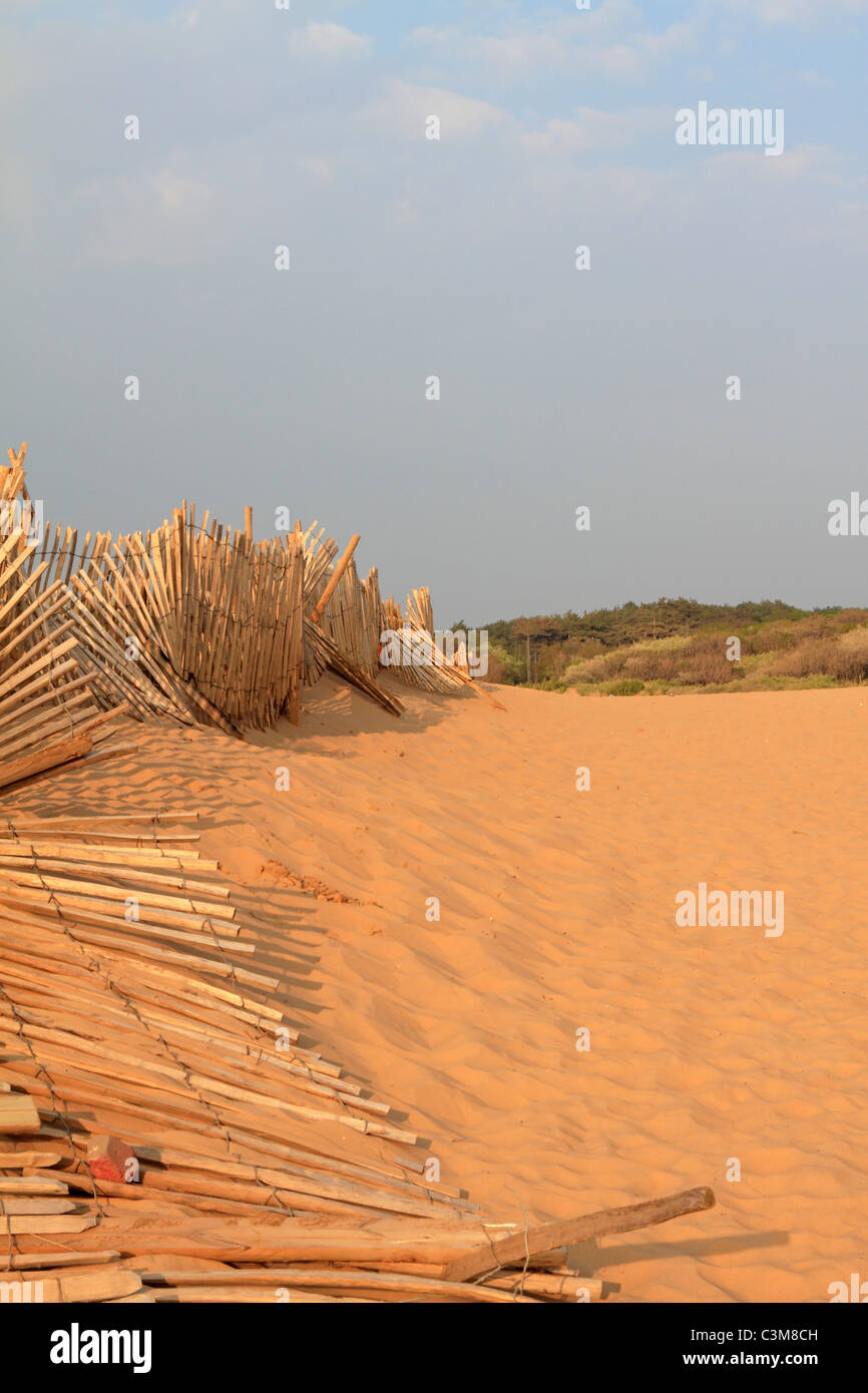 Sand dunes and fencing on Formby Point near Southport, Merseyside ...