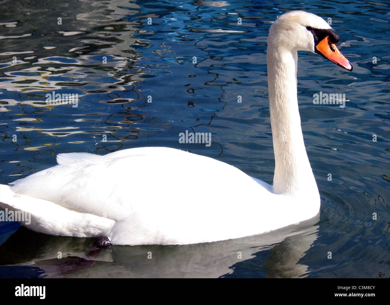At geneva hi-res stock photography and images - Alamy