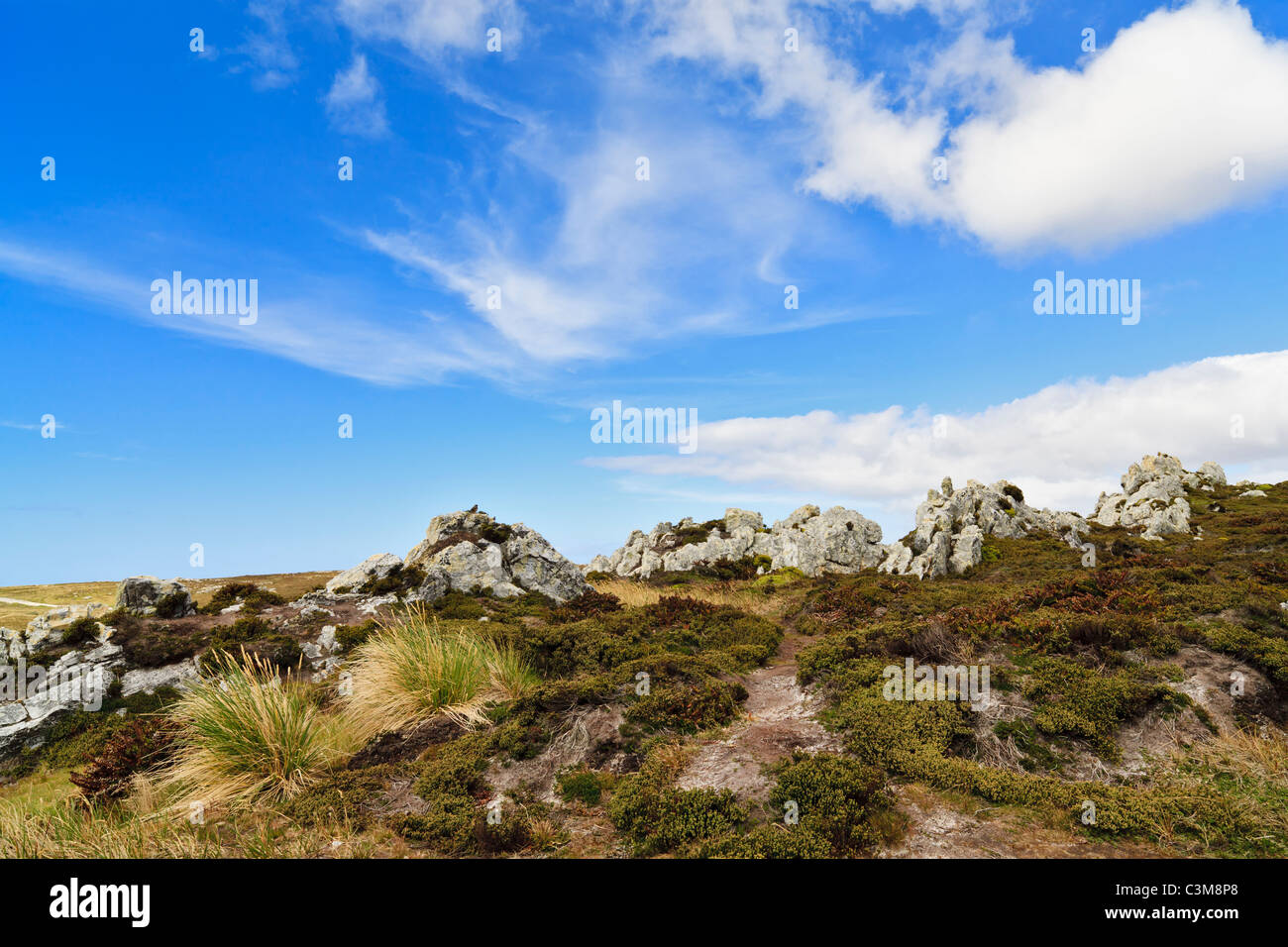 South Atlantic, East Falkland, Falkland Islands, Falklands, Port ...