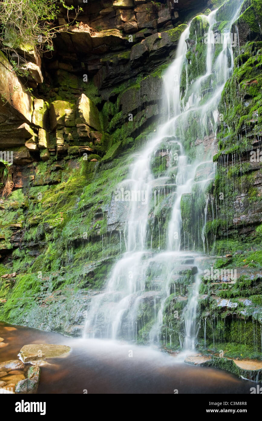 Woodhead hi-res stock photography and images - Alamy