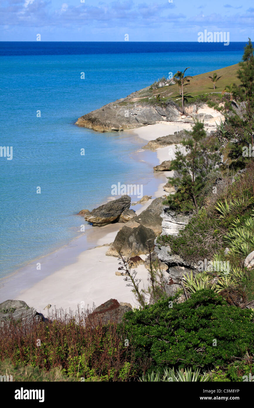 Whale bay beach bermuda hi-res stock photography and images - Alamy