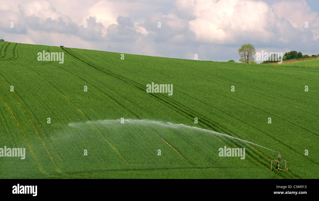 Watering a field of maize, Limagne, Auvergne, France, Europe Stock ...