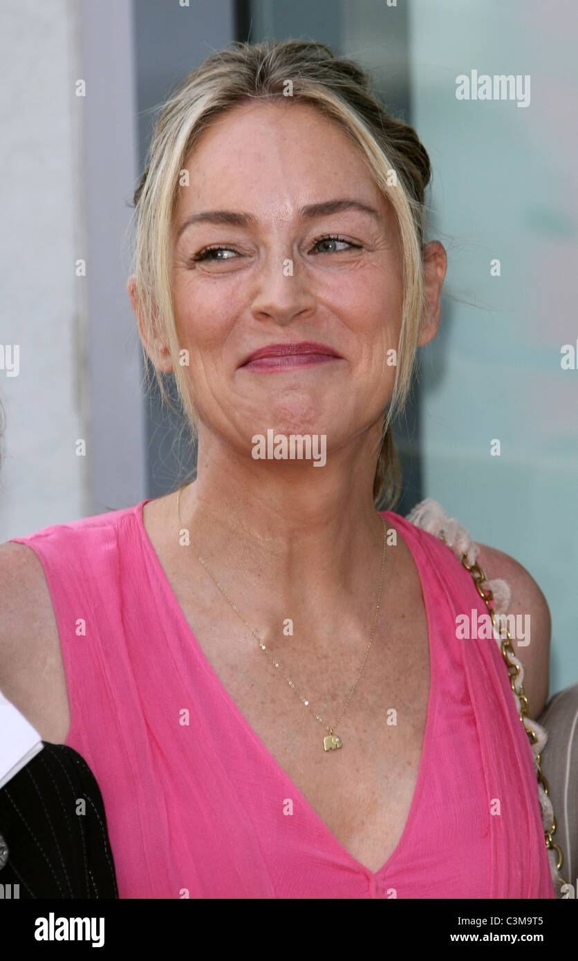 SHARON STONE JANE MORGAN HONORED WITH A STAR ON THE HOLLYWOOD WALK OF ...