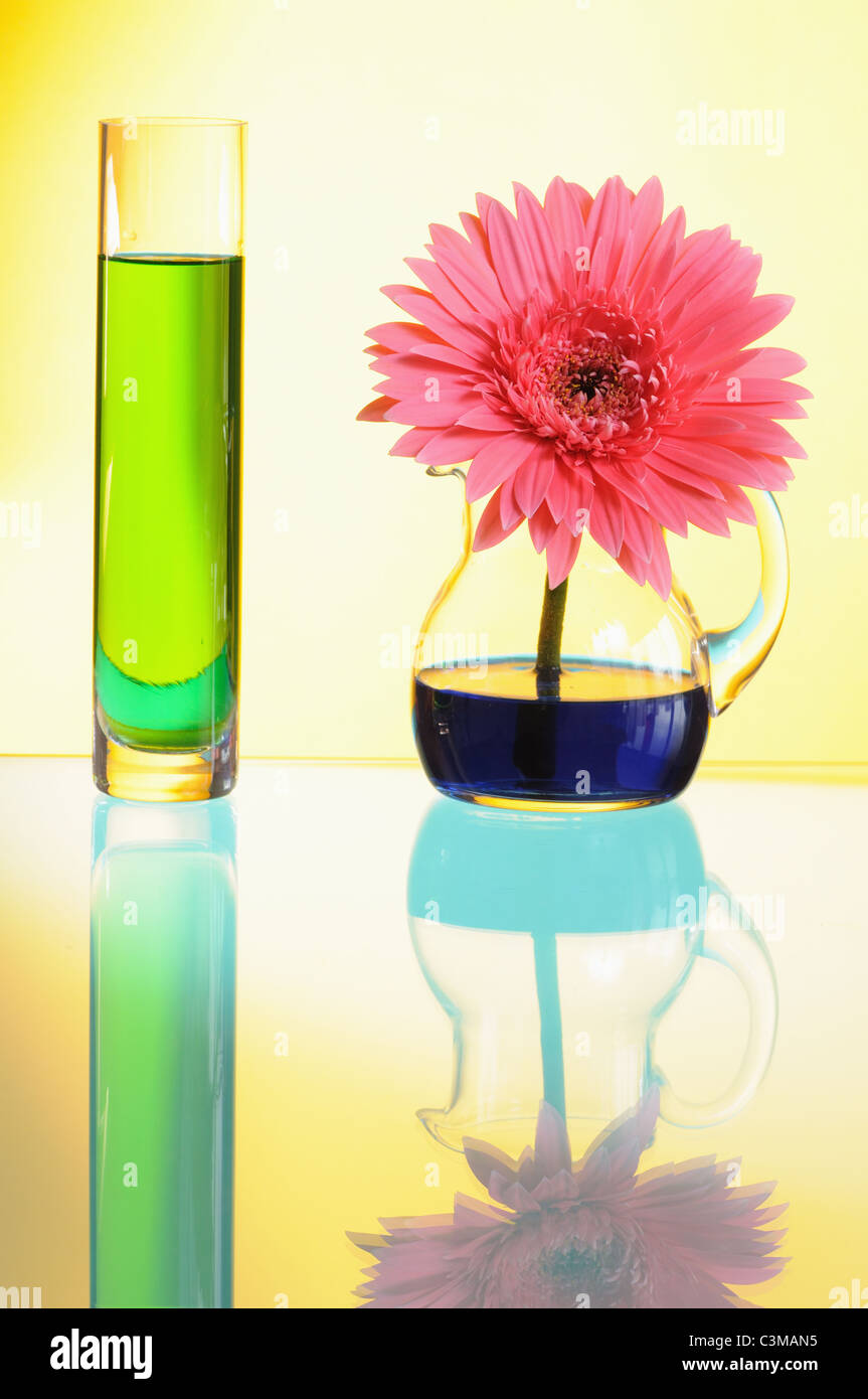 Vases with multi-coloured water on yellow background Stock Photo - Alamy