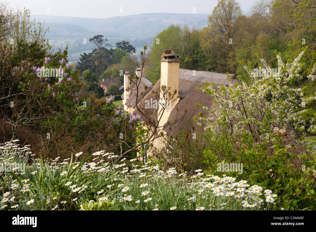 Selworthy Village High Resolution Stock Photography and Images - Alamy