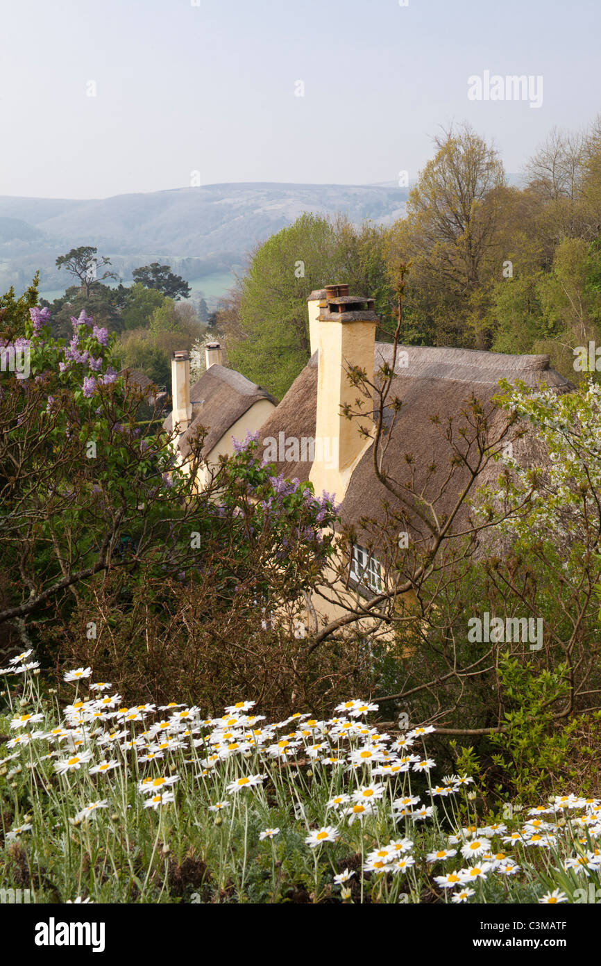 The Exmoor village of Selworthy, Somerset, England UK Stock Photo - Alamy
