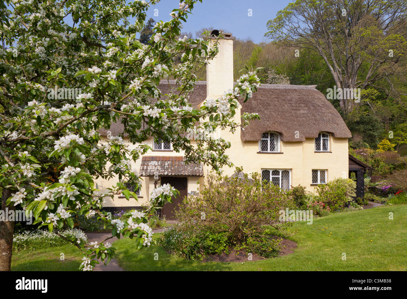 A thatched cottage in the Exmoor village of Selworthy, Somerset ...