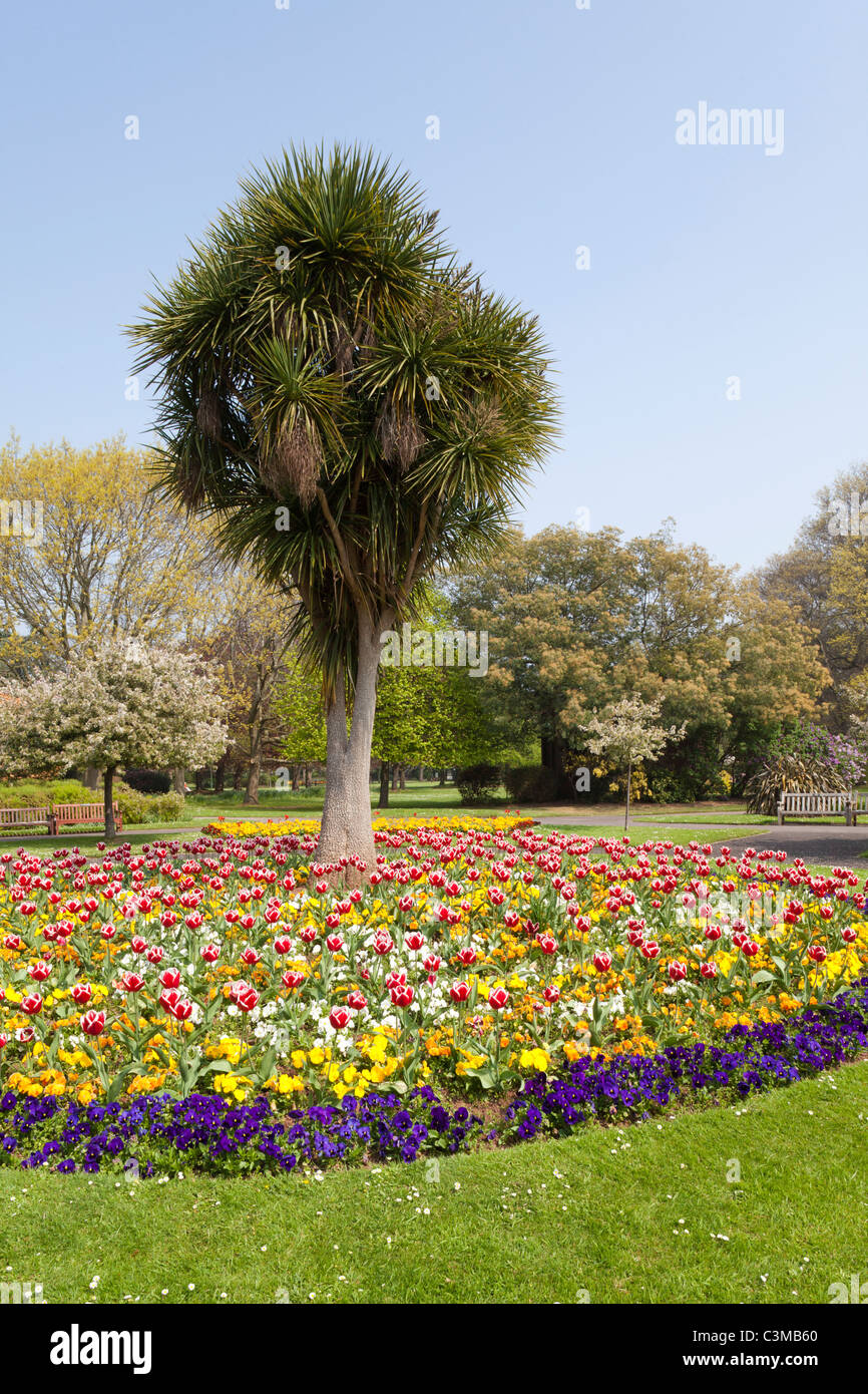 Springtime in Blenheim Gardens, Minehead, Somerset, England UK Stock ...