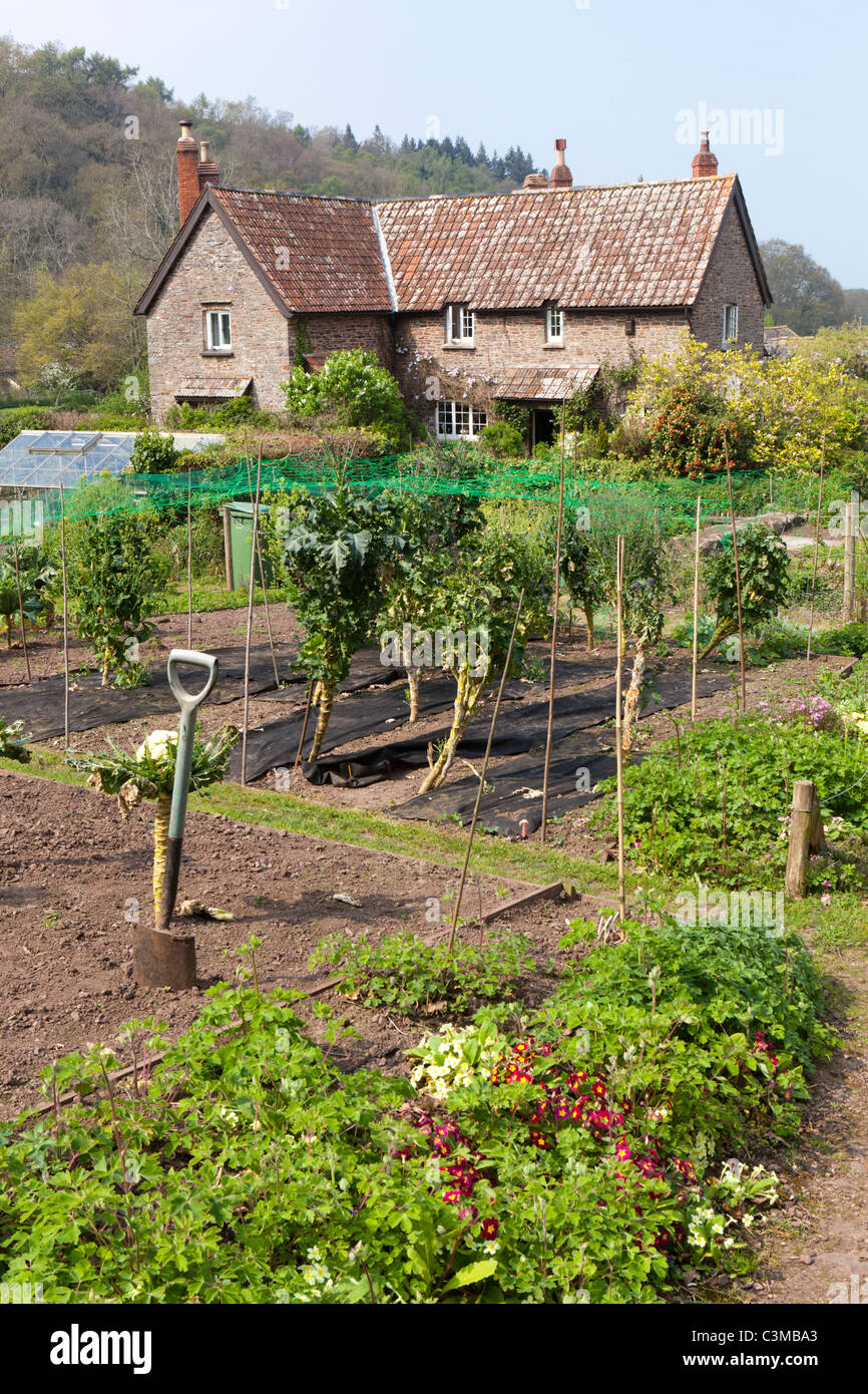 A kitchen garden in the Exmoor village of Horner, Somerset, England UK ...