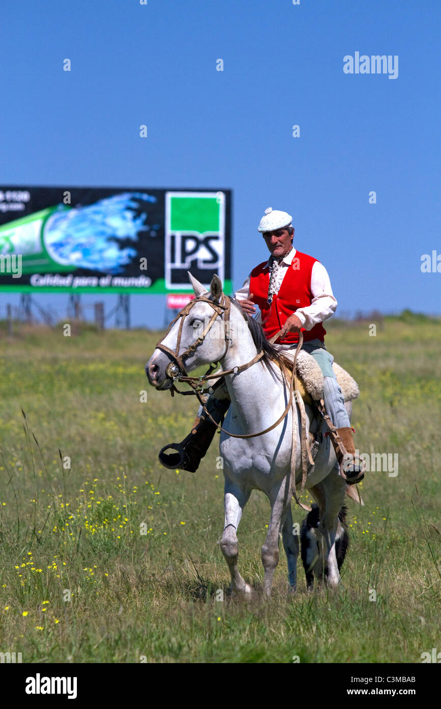 Gaucho riding horseback on the Pampas of Argentina Stock Photo - Alamy