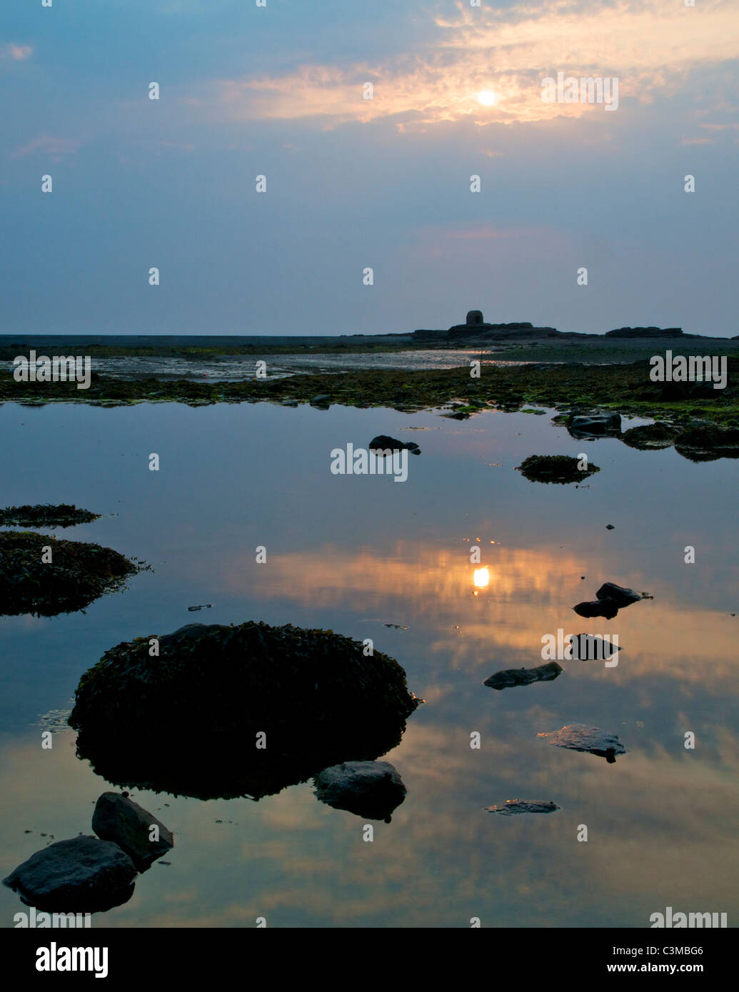 Pink reflecting in water hi-res stock photography and images - Alamy
