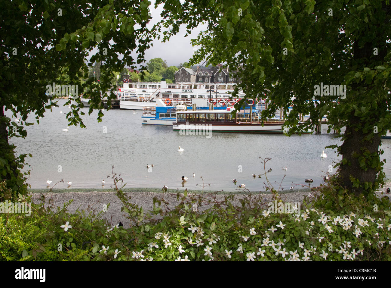 lake windermere birds on beach bowness cumbria lake district england uk ...