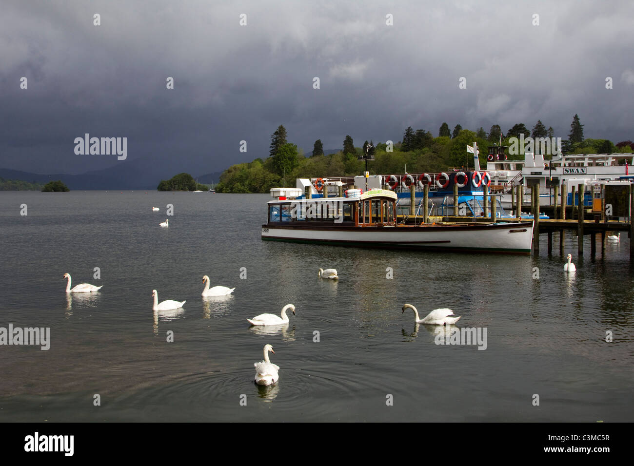 lake windermere birds on beach bowness cumbria lake district england uk ...