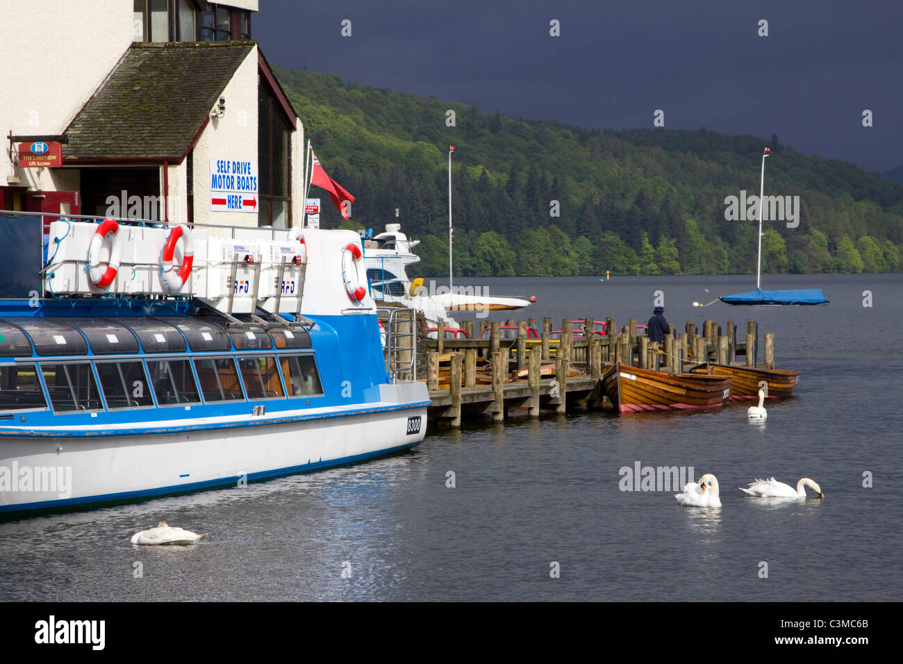 lake windermere birds on beach bowness cumbria lake district england uk ...