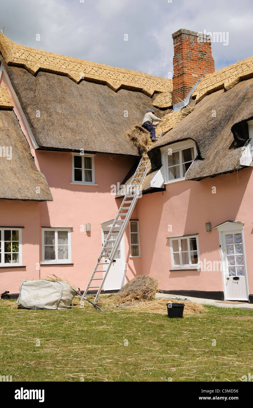 Thatching a cottage hi-res stock photography and images - Alamy