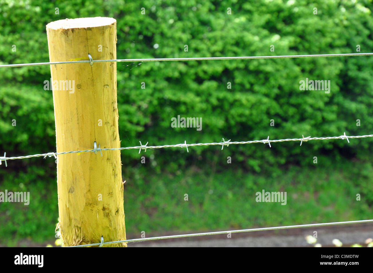 Box, Wiltshire, England: fencing near the railway line Stock Photo - Alamy