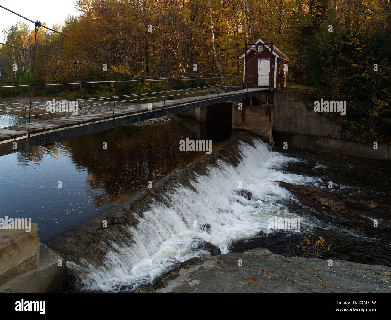 Beaver pond dam hi-res stock photography and images - Alamy