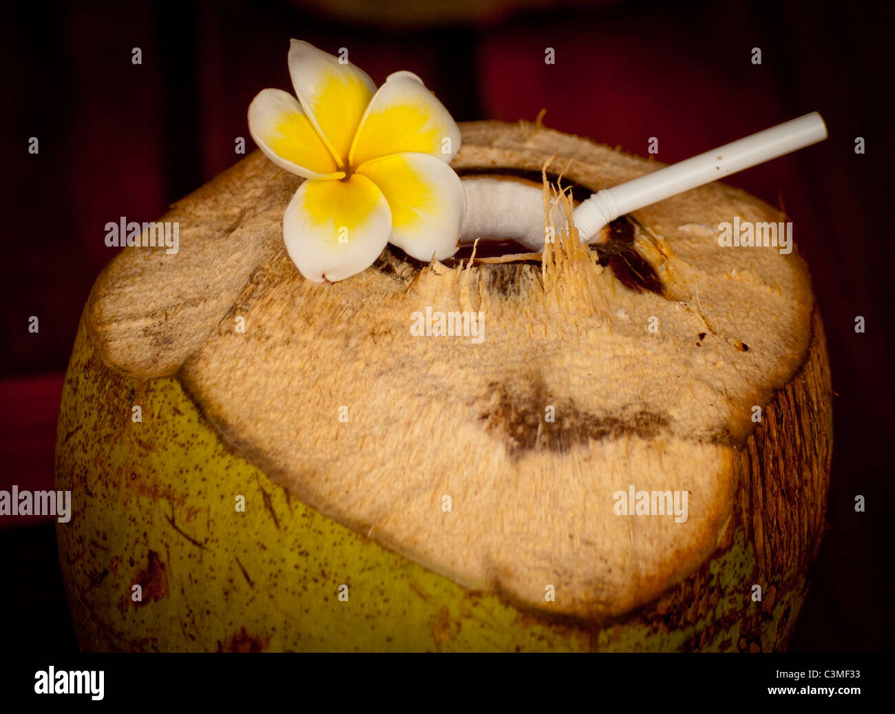 Fresh young cocnonut milk served with plumaria flower, Fiji Stock Photo ...
