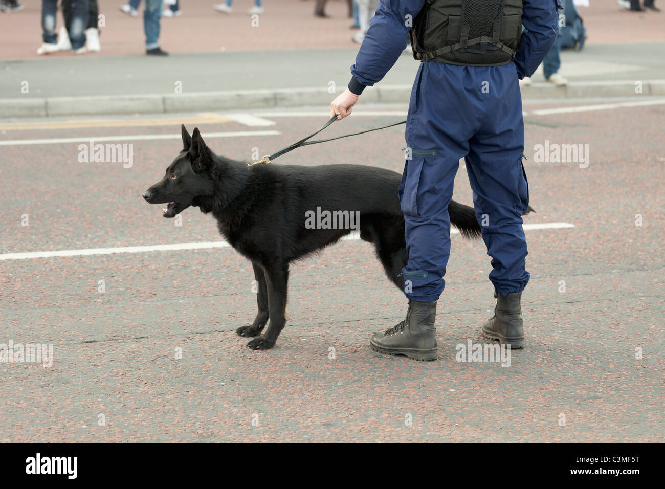 Police dog handler uk hi-res stock photography and images - Alamy