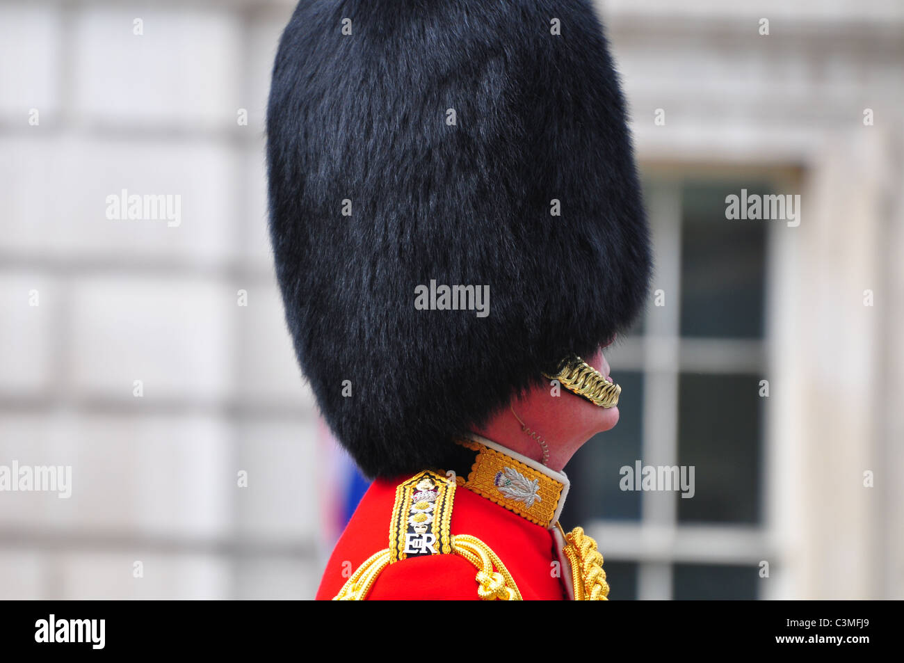 Guardsman wearing the high bearskin Stock Photo - Alamy