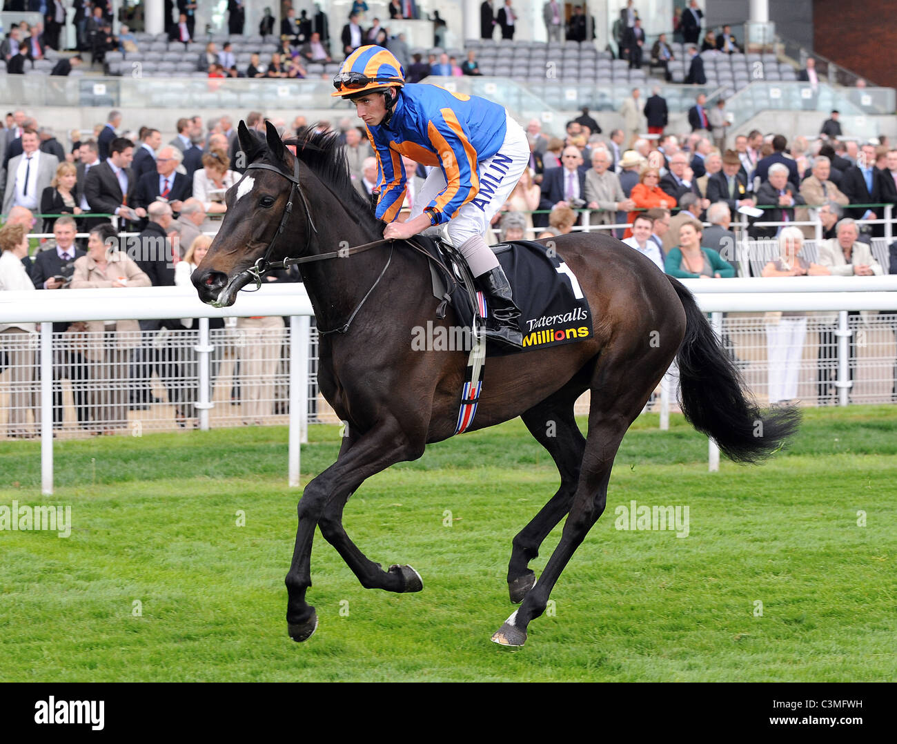 AMAZING BEAUTY THE TATTERSALLS MUSIDORA STAKES THE TATTERSALLS MUSIDORA ...
