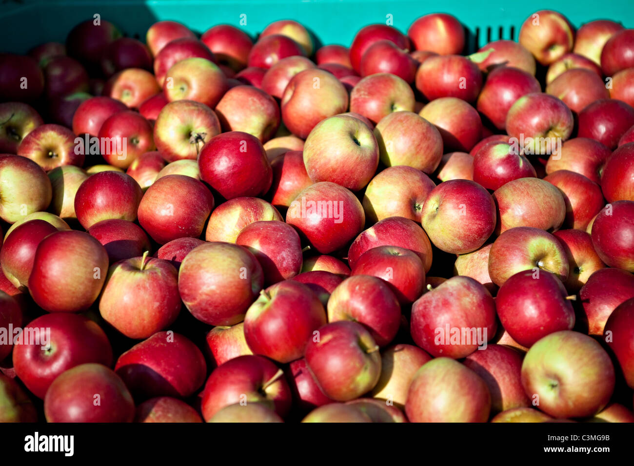 Croatia, Baranja, Apples in container Stock Photo - Alamy