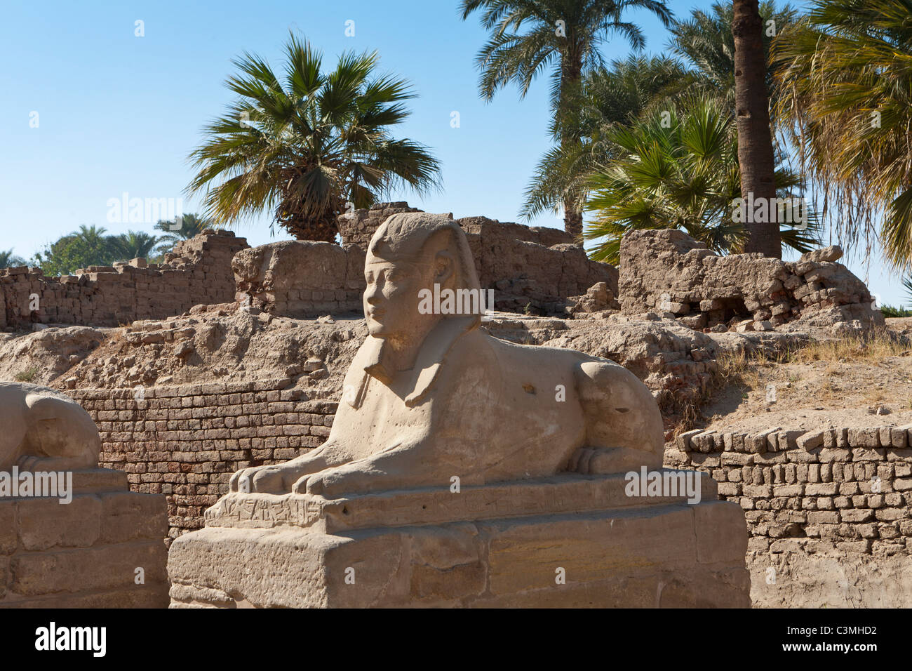 View of a sphinx on the Avenue of Sphinxes leading to Luxor Temple on ...