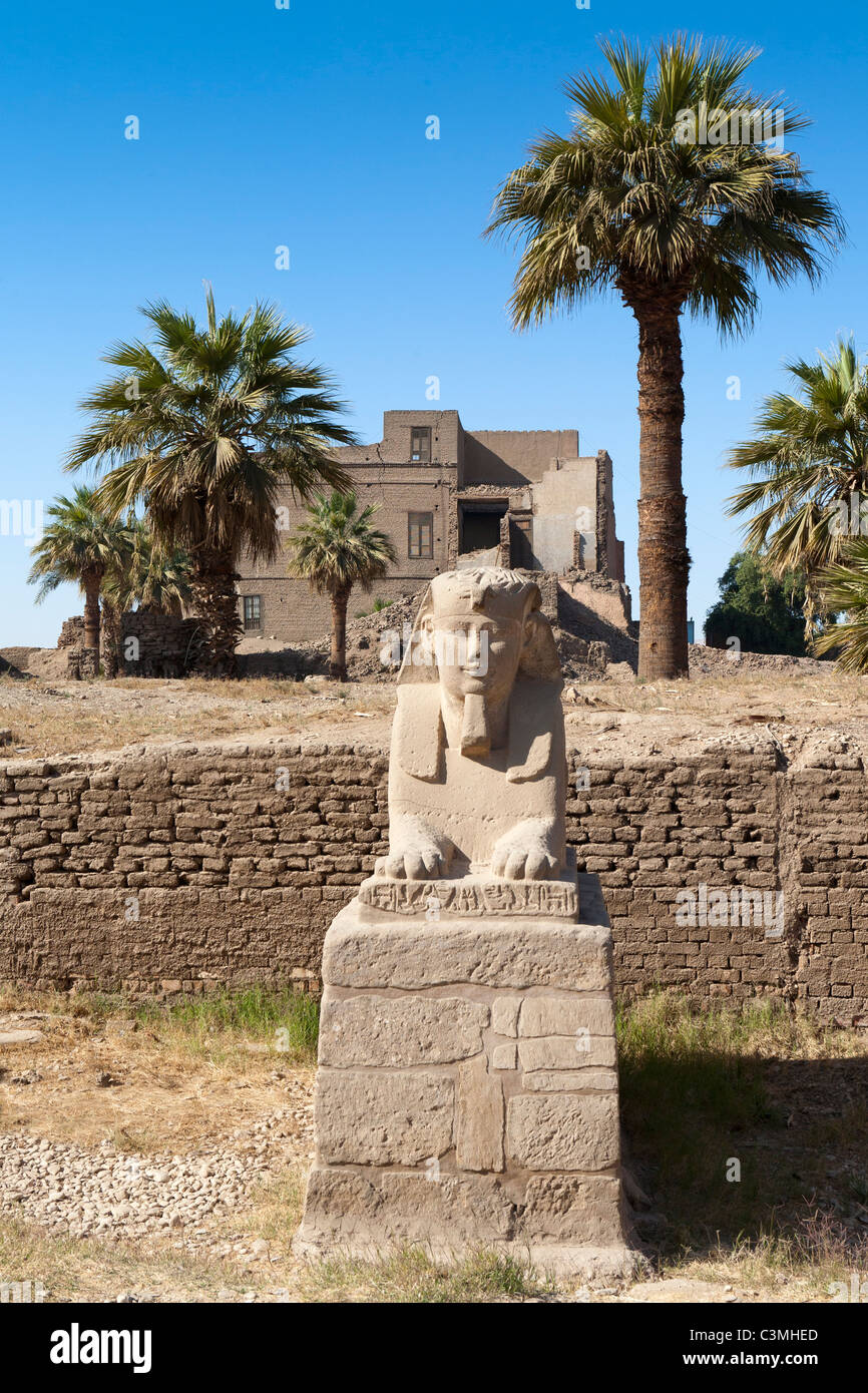 View of a sphinx on the Avenue of Sphinxes leading to Luxor Temple on ...