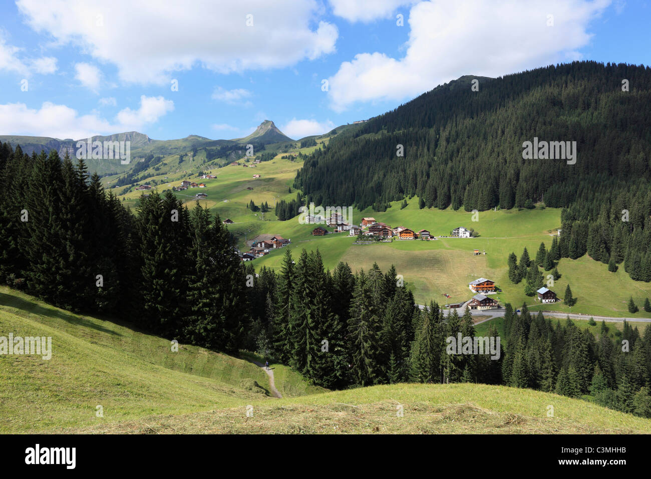 Bregenzerwald mountain range hi-res stock photography and images - Alamy