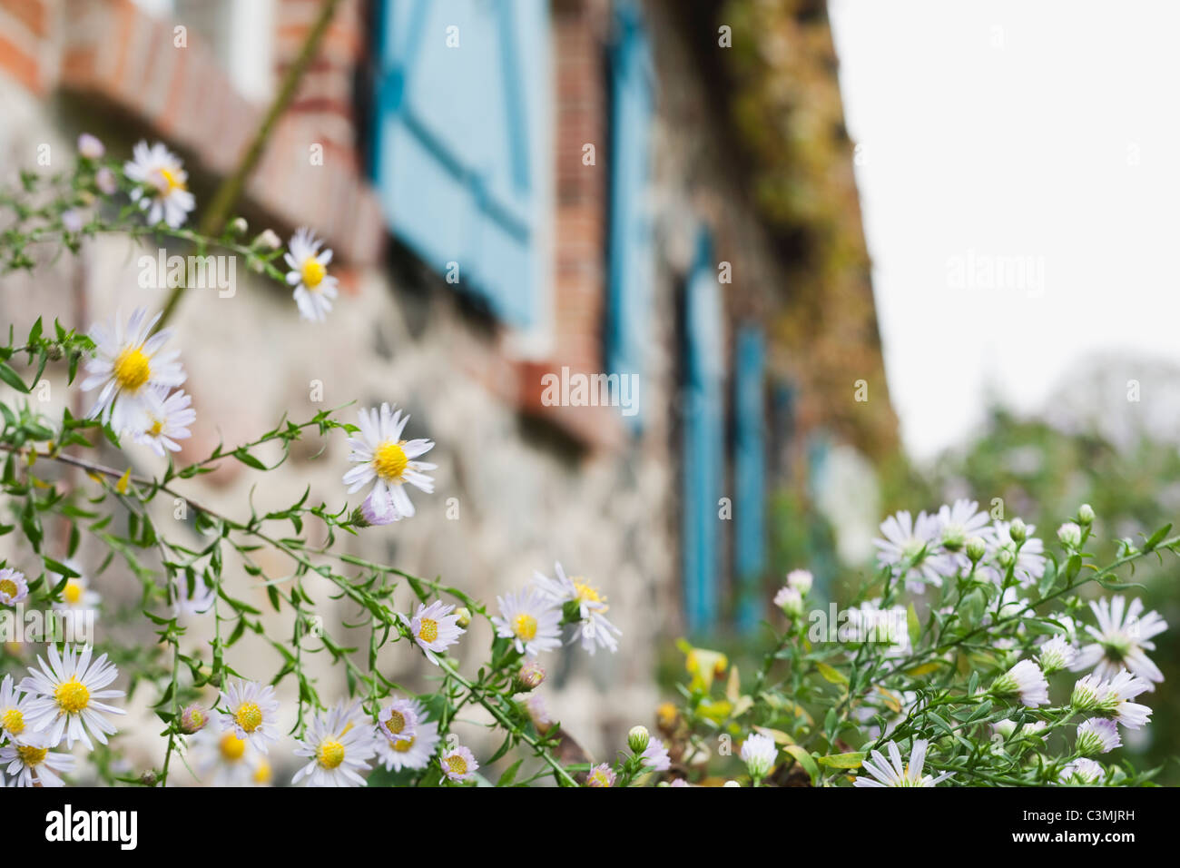 Kratzeburg hi-res stock photography and images - Alamy