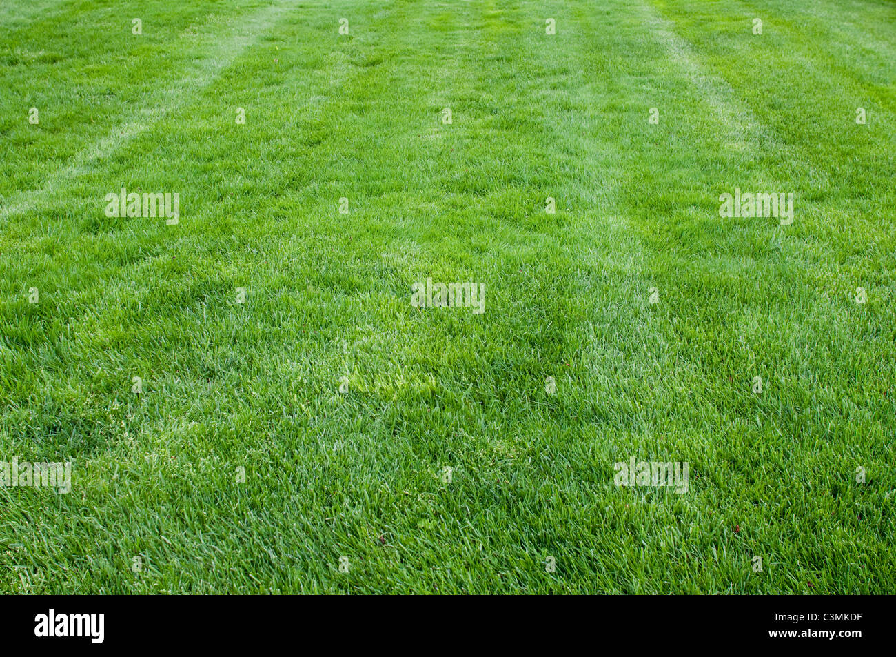 A lawn in the USA Stock Photo - Alamy