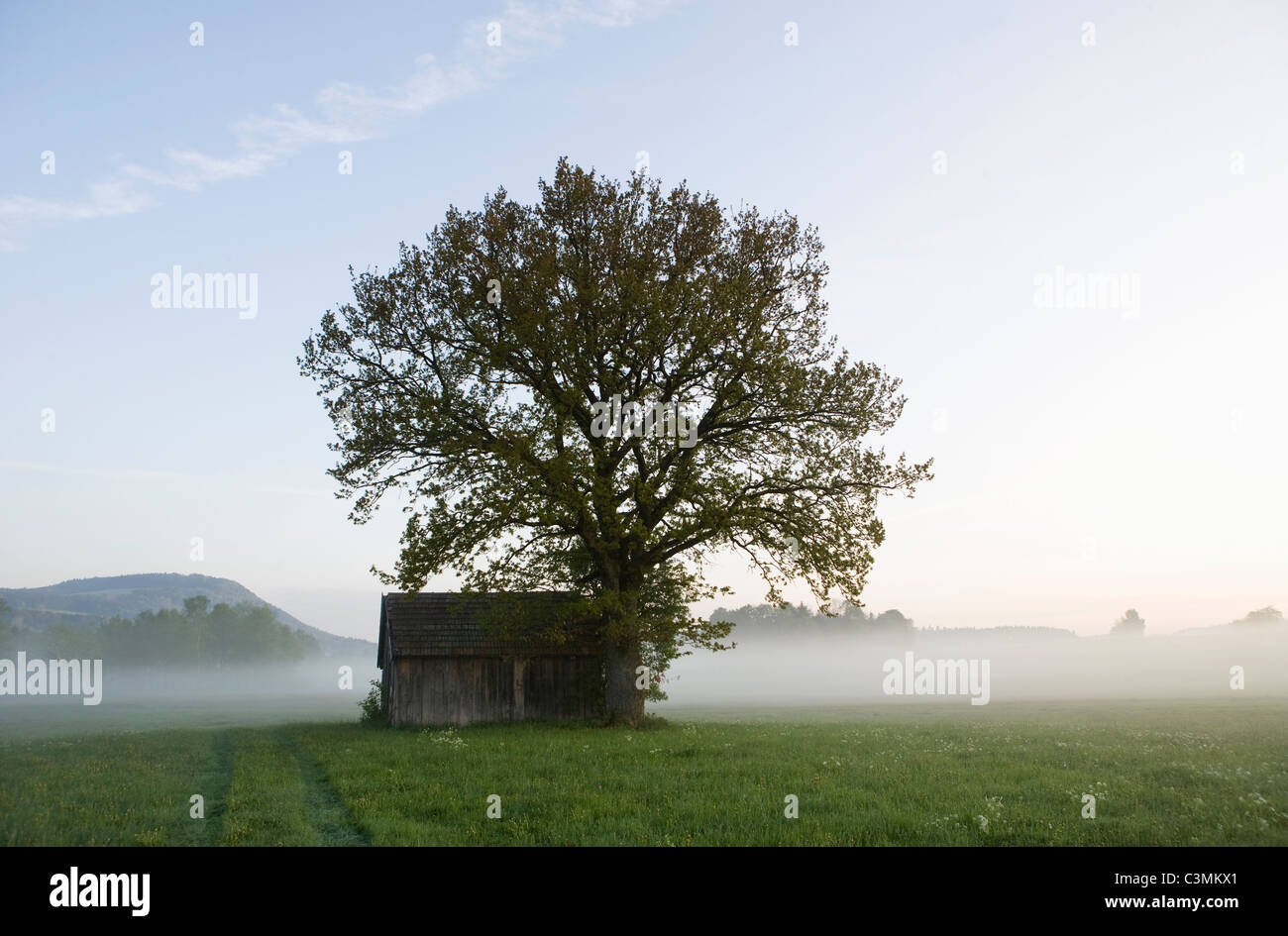 Austria, Salzkammergut, Oberhofen, View of barn in mist Stock Photo - Alamy