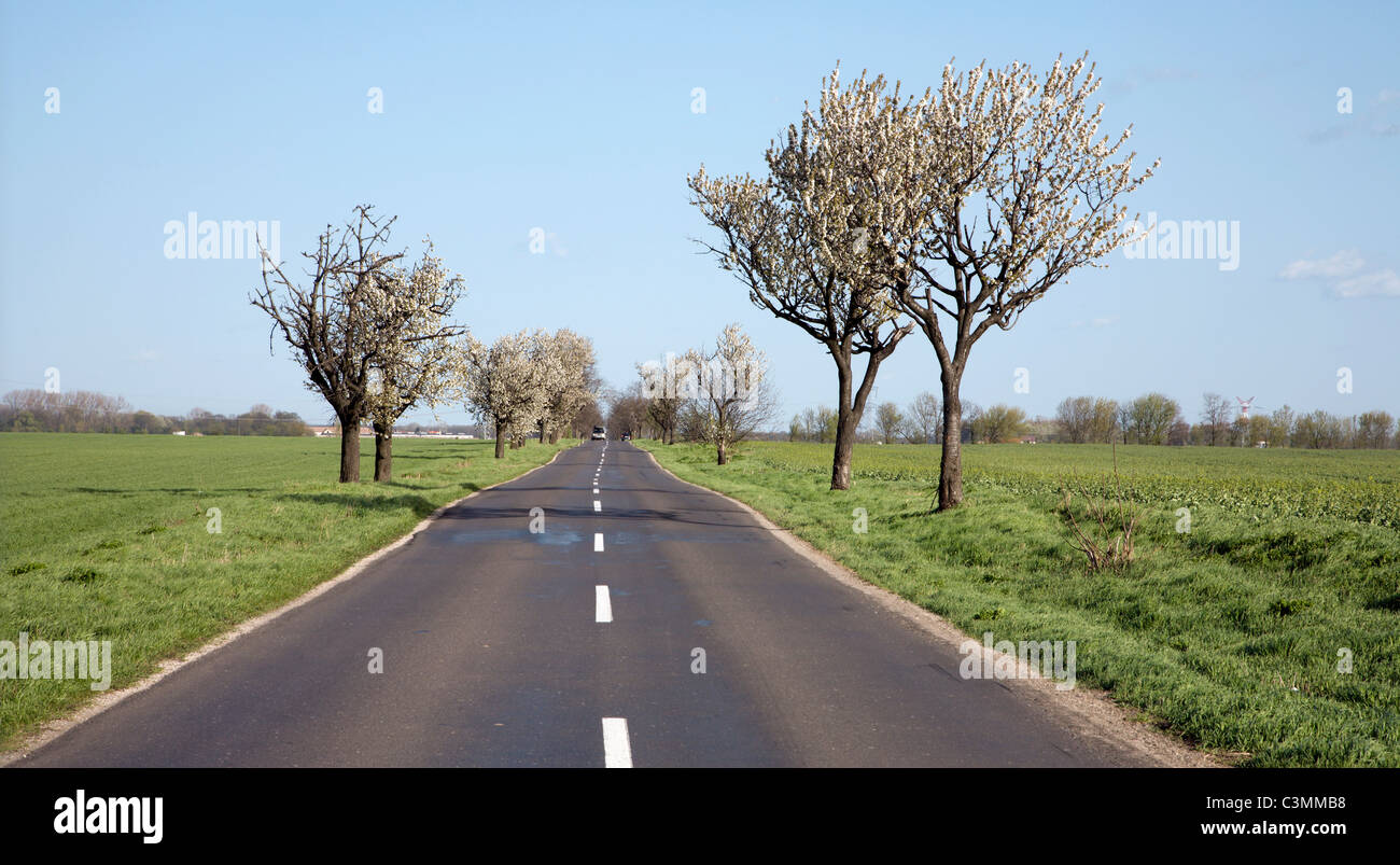 way and spring fields Stock Photo - Alamy