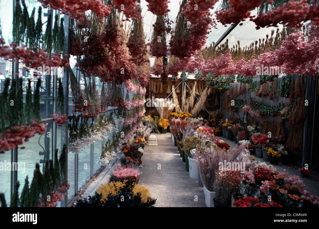 Amsterdam Holland Bloemenmarkt - The World's Only Floating Flower ...