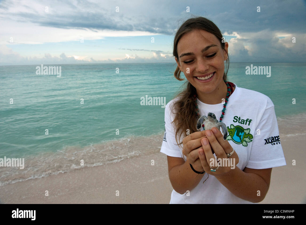 Animal de america central hi-res stock photography and images - Alamy