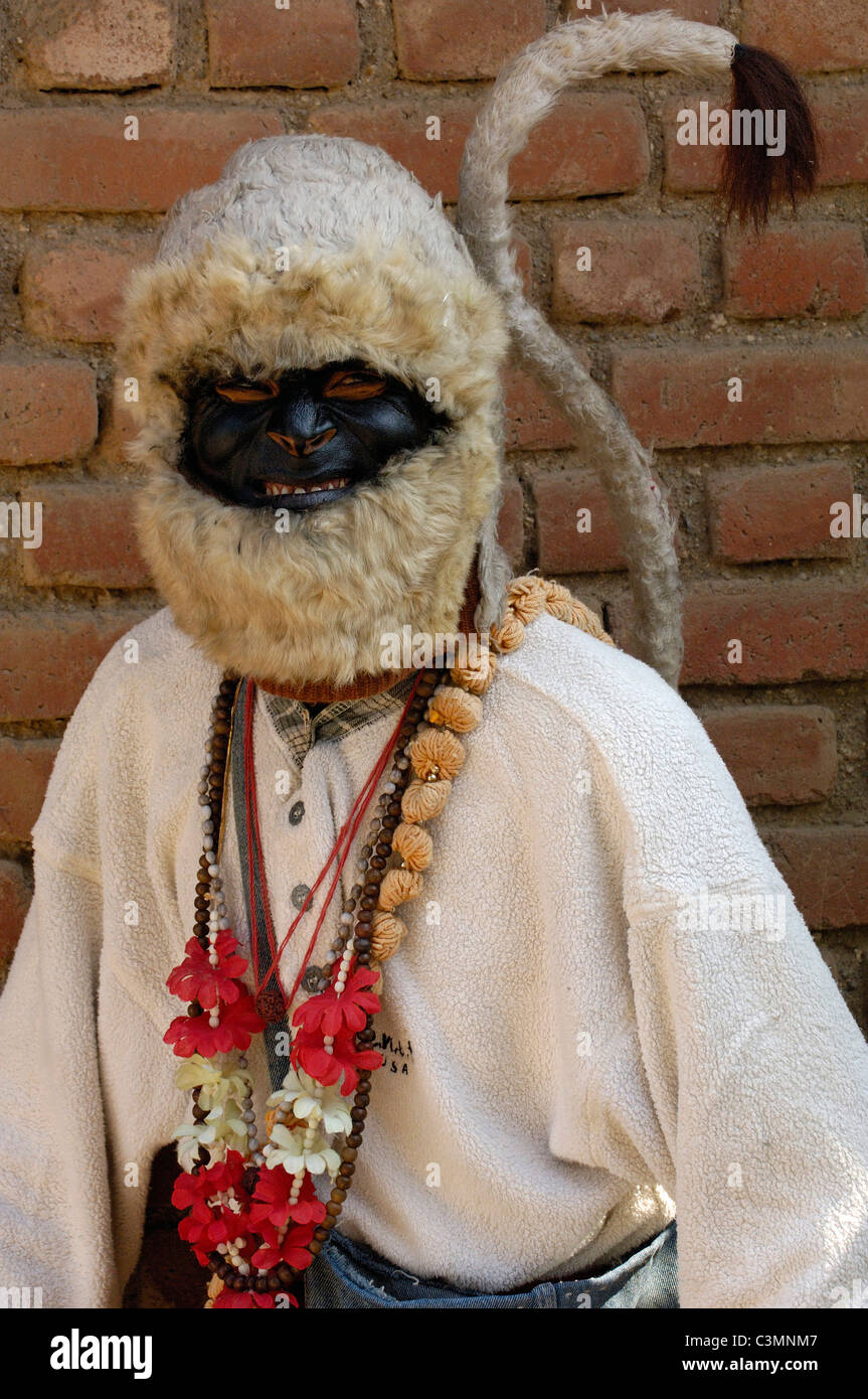 Hanuman monkey God, 'Holy man'. near Gir Forest National Park. Gujarat ...