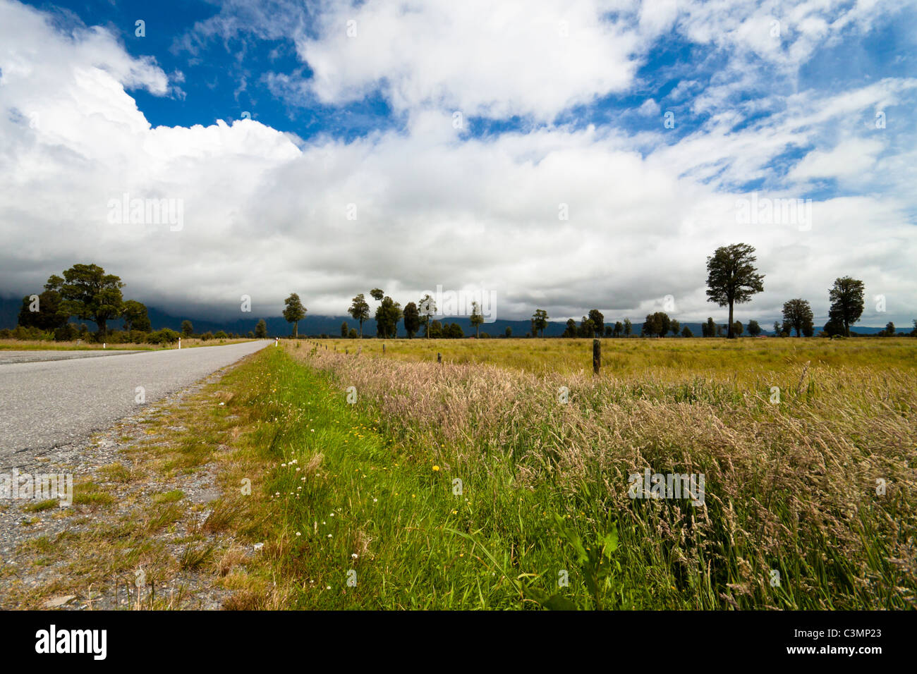Nz landscapes hi-res stock photography and images - Alamy