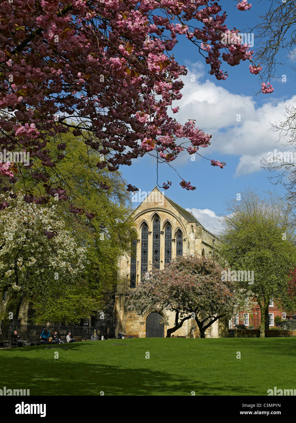 Deans Park and Minster Library in spring York North Yorkshire England ...