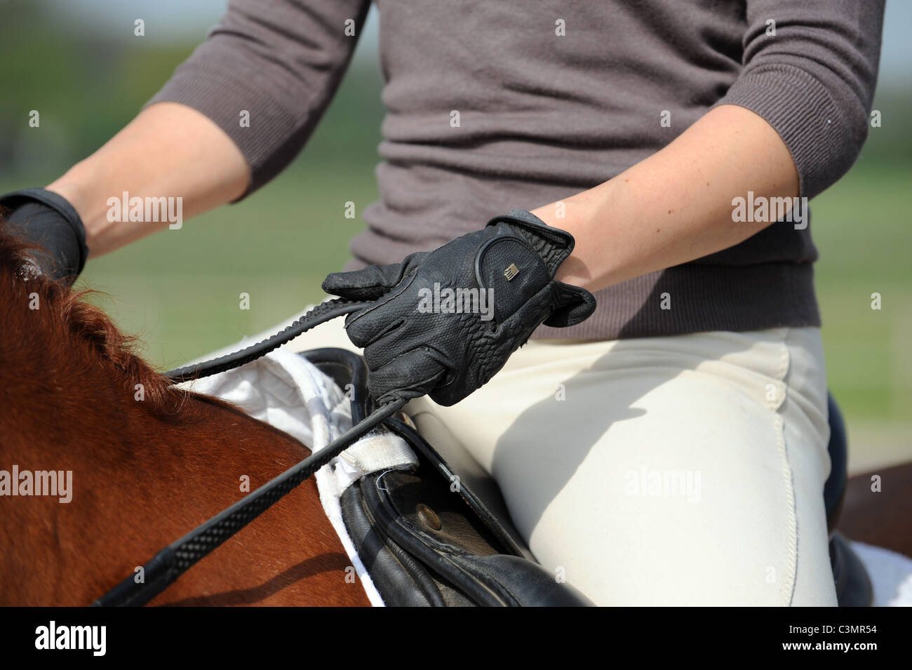Holding reins hi-res stock photography and images - Alamy