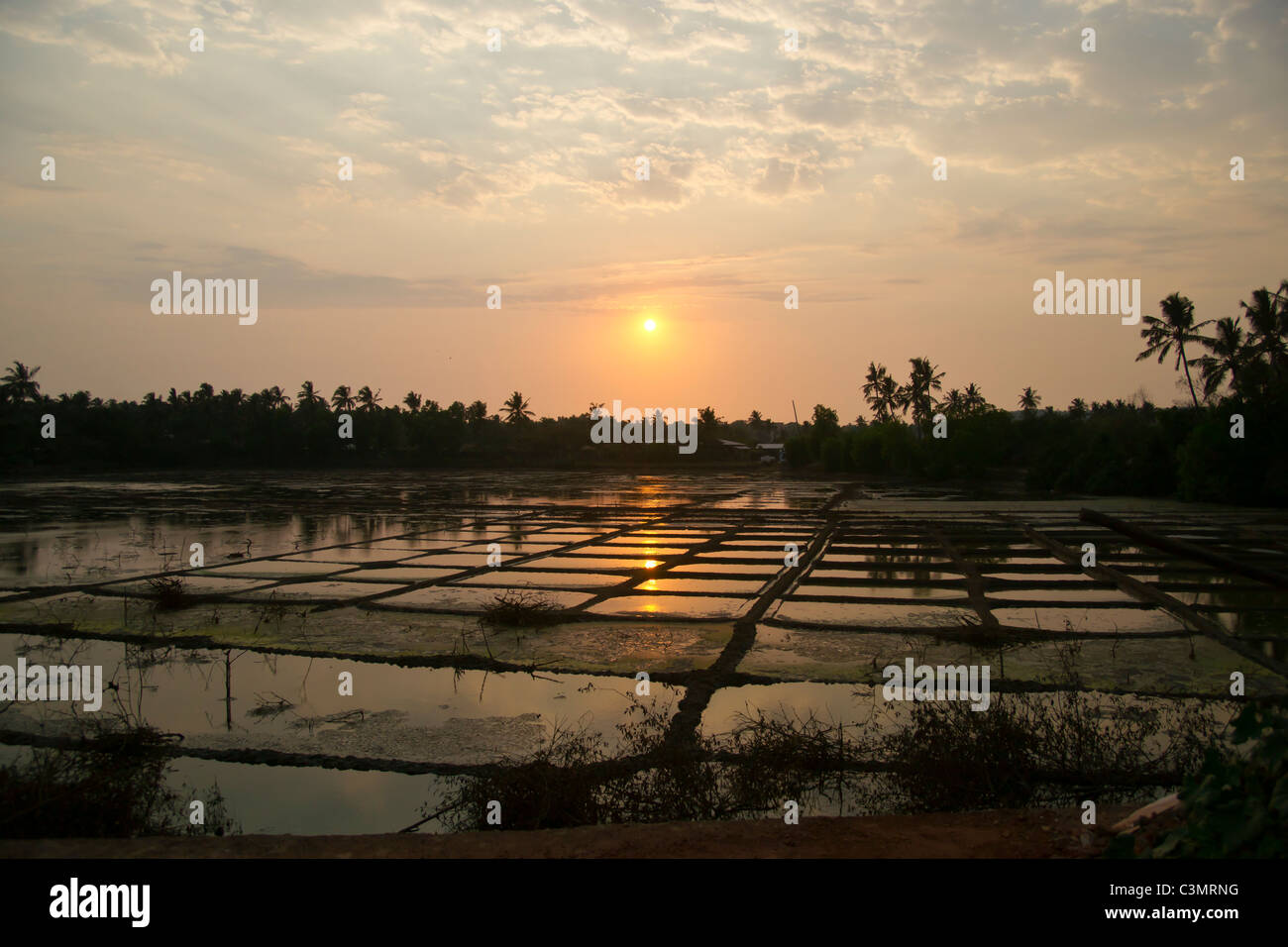 Sea salt pans goa hi-res stock photography and images - Alamy