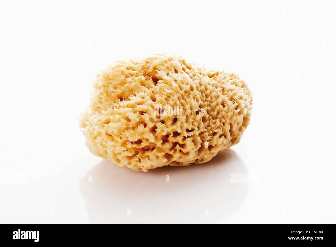 Natural sponge on white background Stock Photo - Alamy