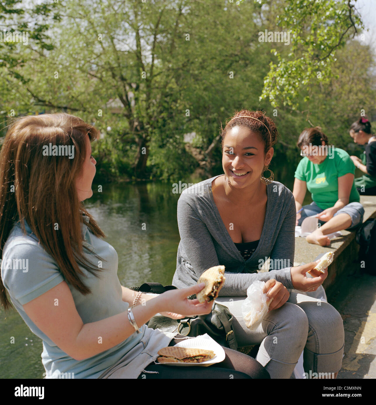 Students or employees learning together Stock Photo - Alamy