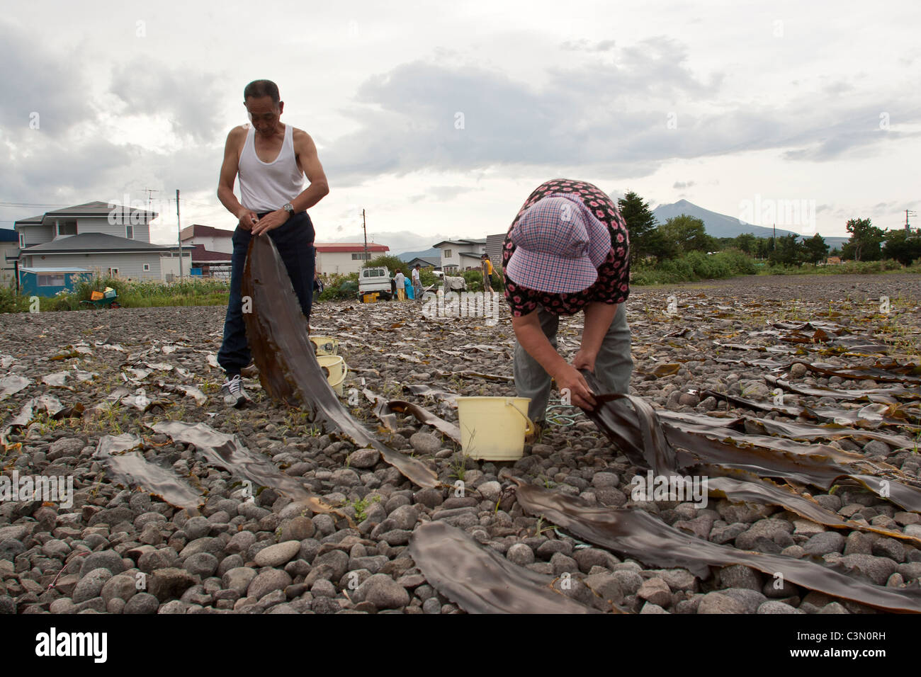 Drying seaweed japan hi-res stock photography and images - Alamy