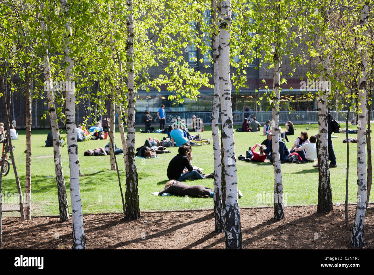 London tate modern birches hi-res stock photography and images - Alamy