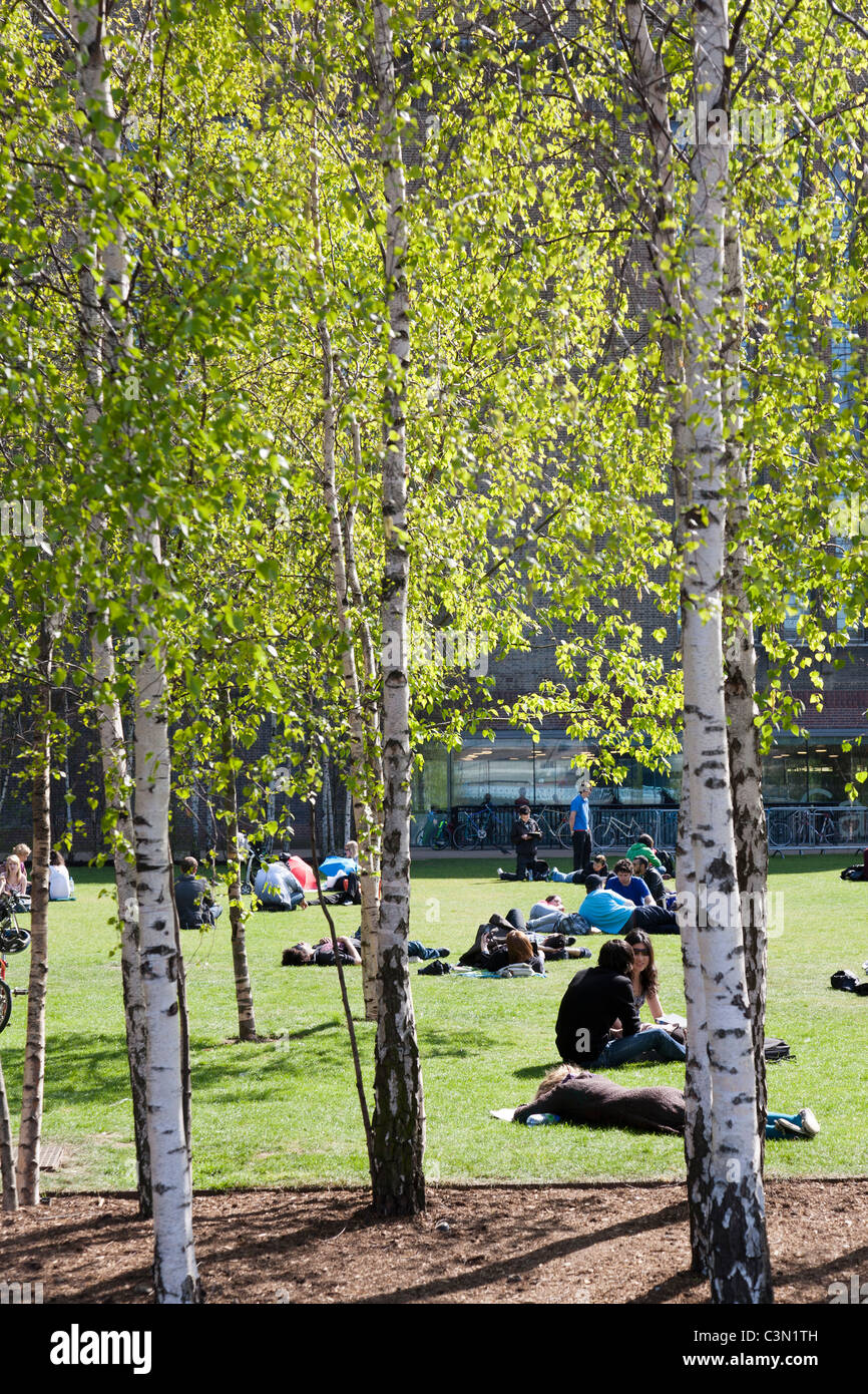 London tate modern birches hi-res stock photography and images - Alamy