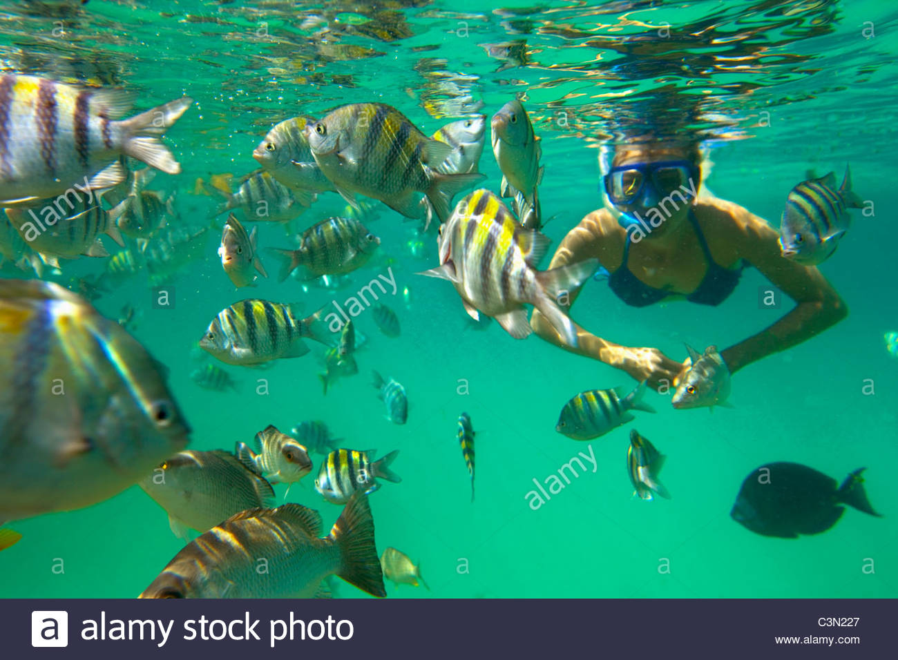 Xel Ha Stock Photos & Xel Ha Stock Images - Alamy