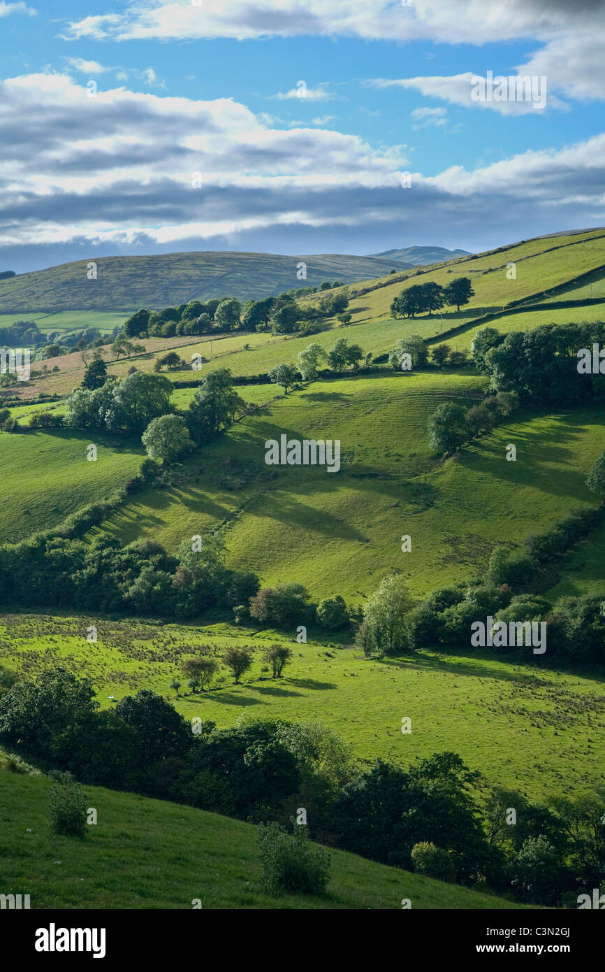 Green Fields Of Ireland High Resolution Stock Photography and Images ...