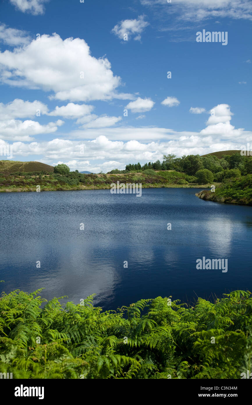 Summer at the Gortin Lakes, Sperrin Mountains, County Tyrone, Northern ...