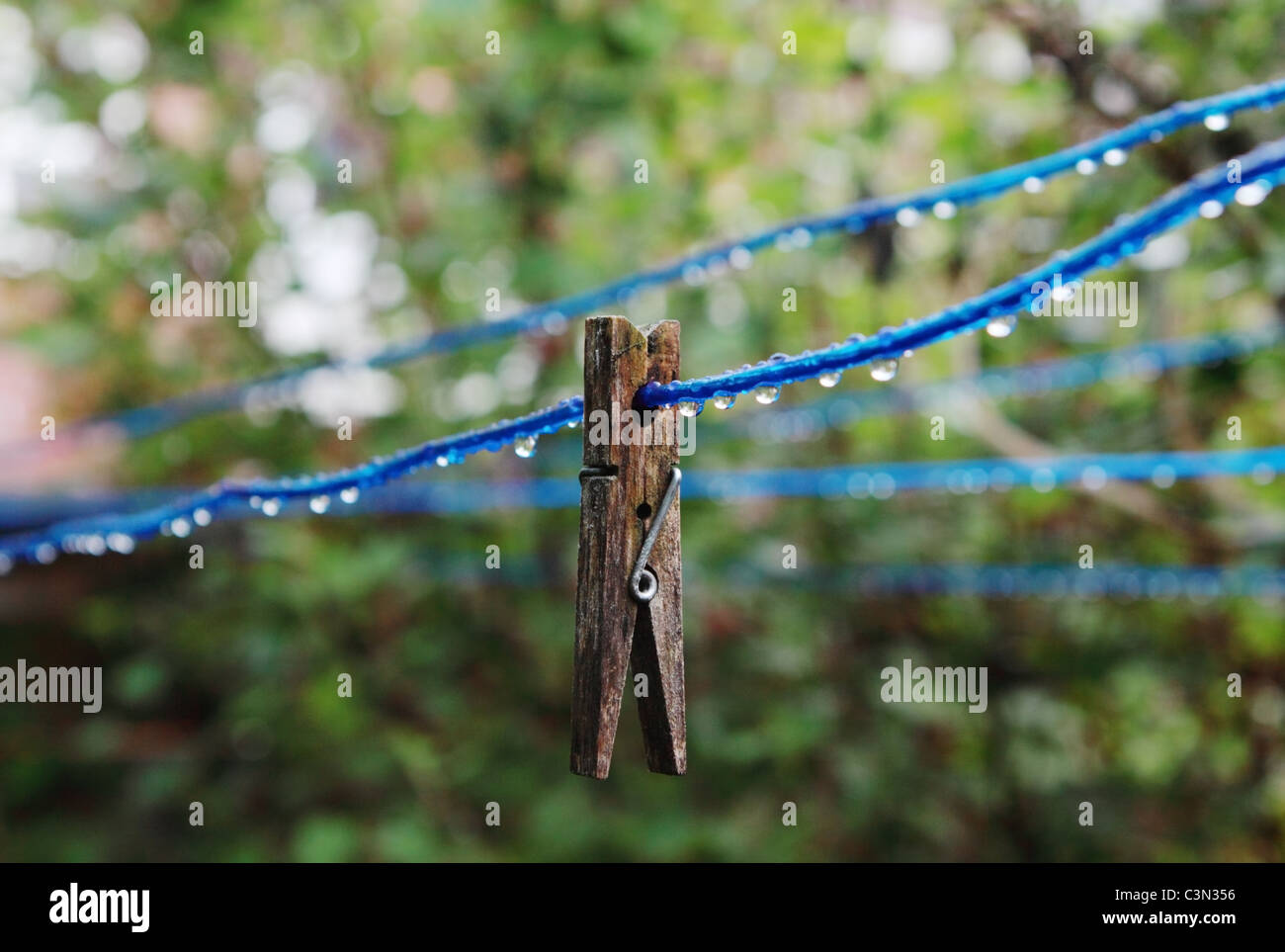 wooden clothespin on the rope with rain drops Stock Photo - Alamy
