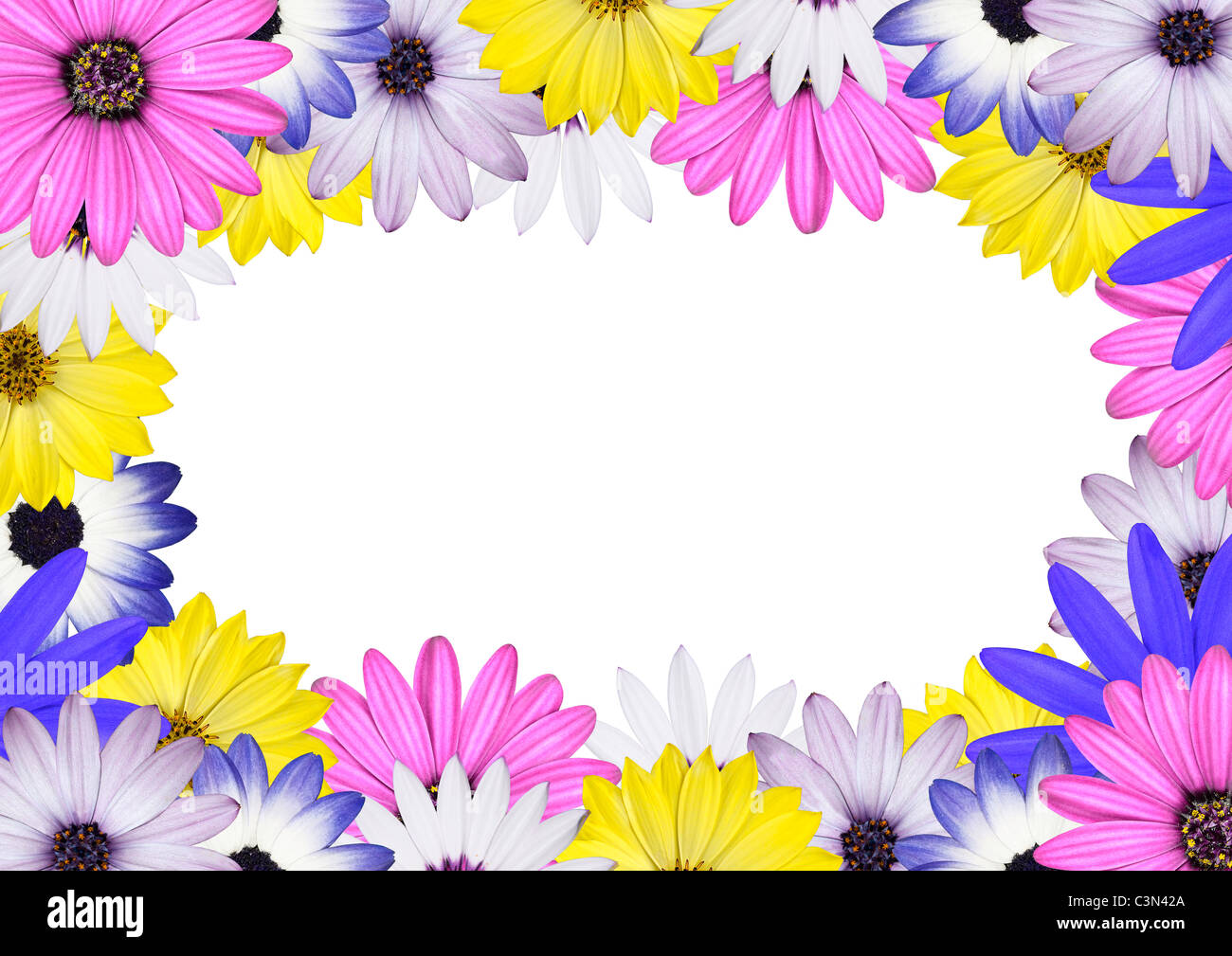 Colorful Daisy Flowers Around Edges of a Frame Stock Photo - Alamy